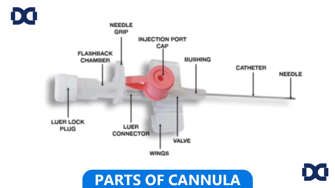 Parts of Cannula: A Comprehensive Guide By Denex International
