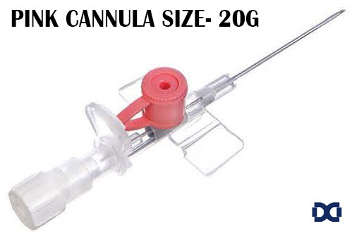 Exploring the Dynamics of Pink Cannula Size in Medical Practice